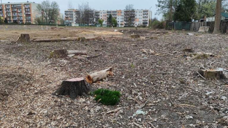 Węzeł przesiadkowy Gliwice-Kopernik. Spore zainteresowanie ze strony ...